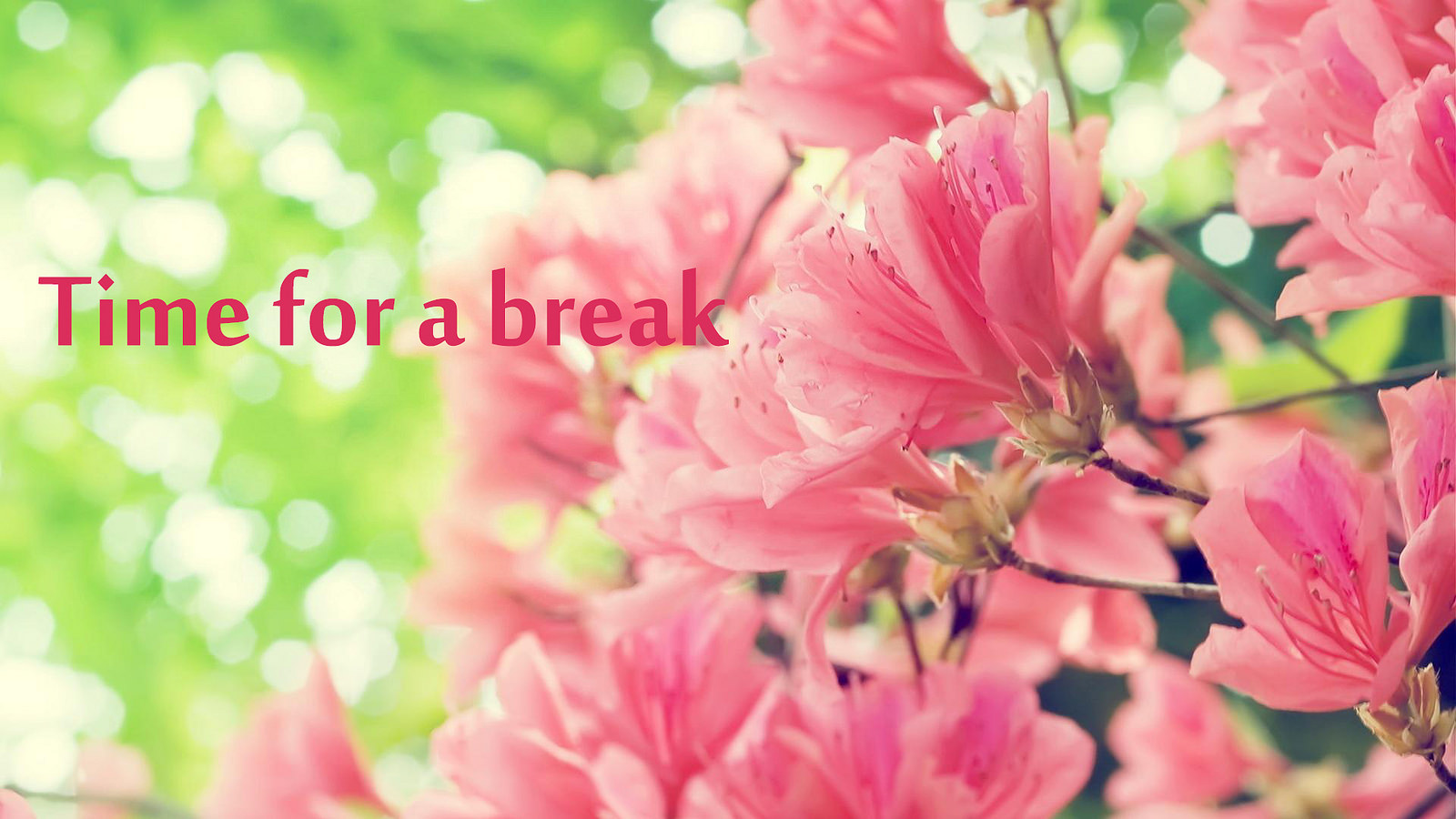 FCCW: Binder: III Facilitator